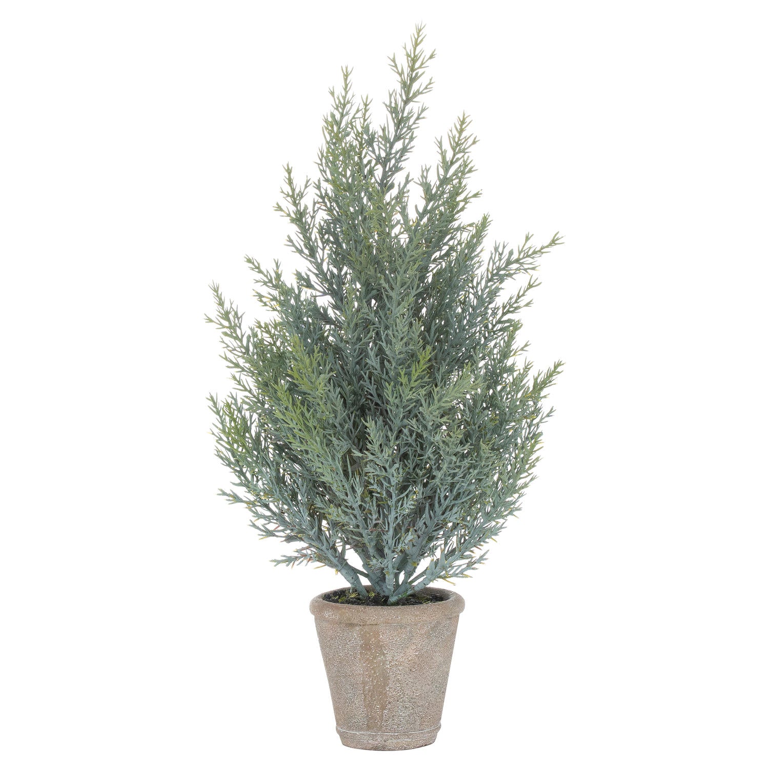 Squat Fir Tree In Stone Pot – boyta